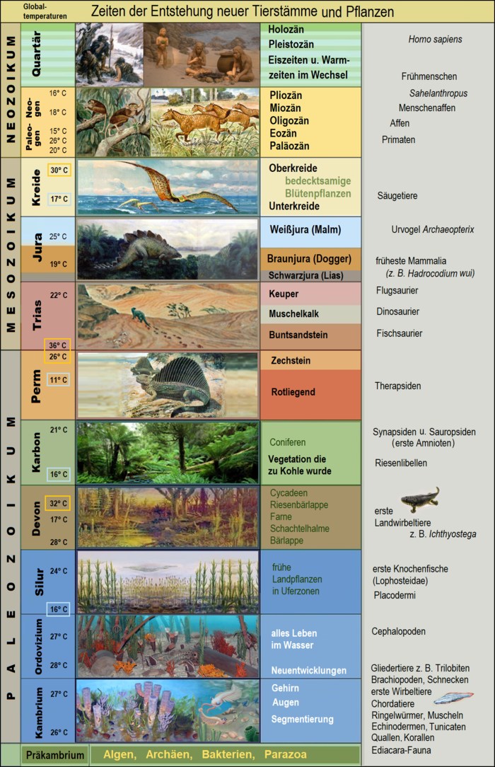 Evolution – AnthroWiki