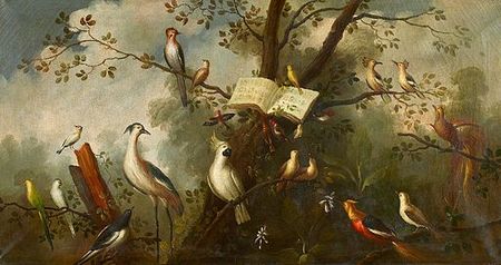 Vogelsang – AnthroWiki