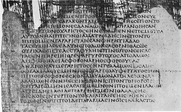 Homer – AnthroWiki