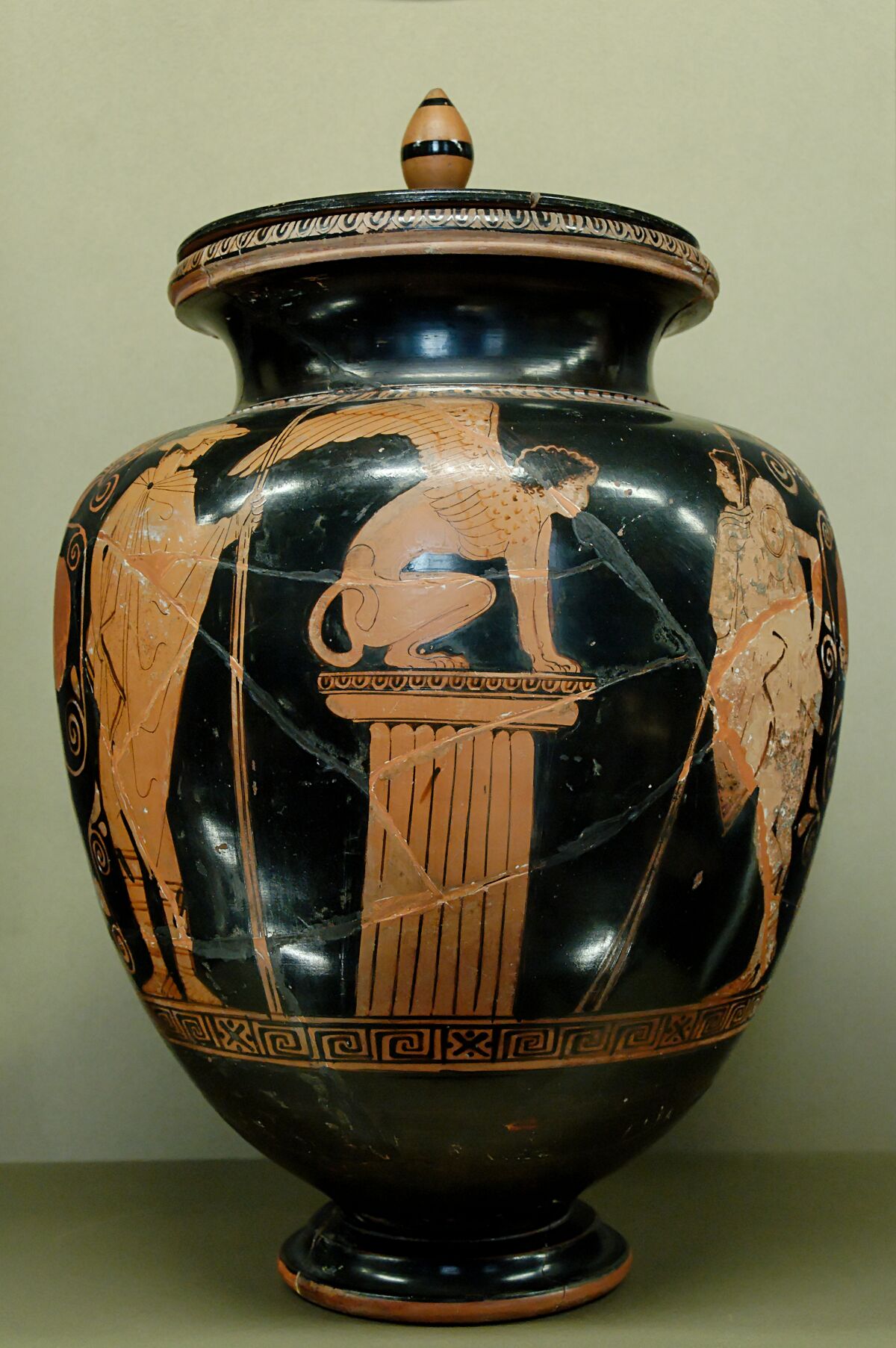 Sphinx ödipus